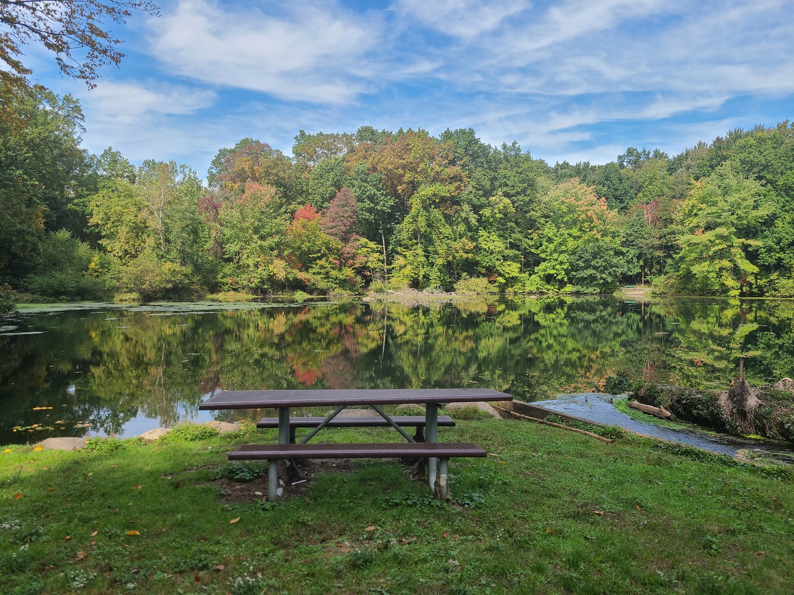 Demarest Kill County Park (2026) – Best of TikTok, Instagram & Reddit ...