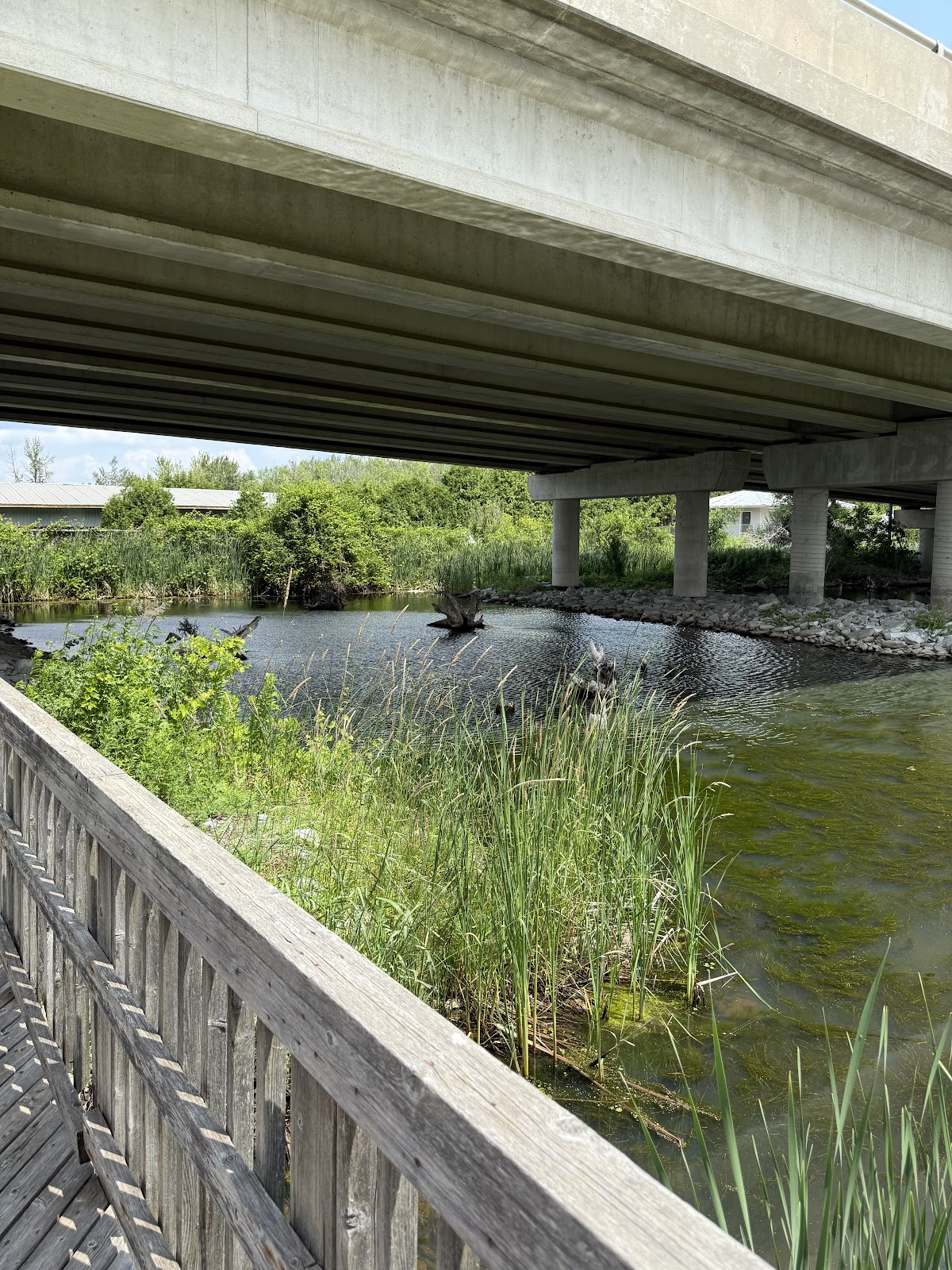 Mnjikaning Fish Weirs National Historic Site (2025) – Best of TikTok ...