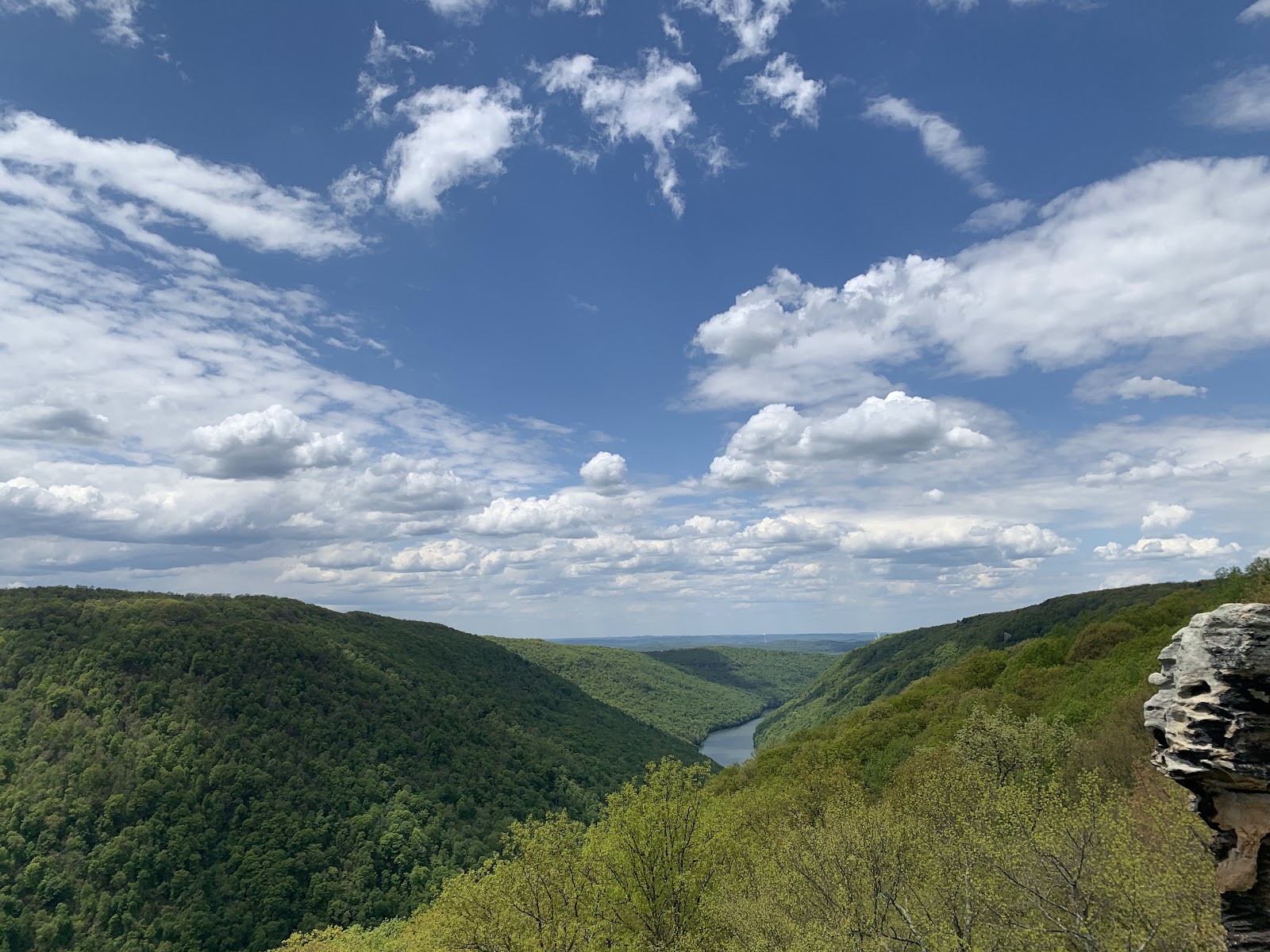 Coopers Rock Overlook West Virginia (2026) – Best of TikTok, Instagram ...