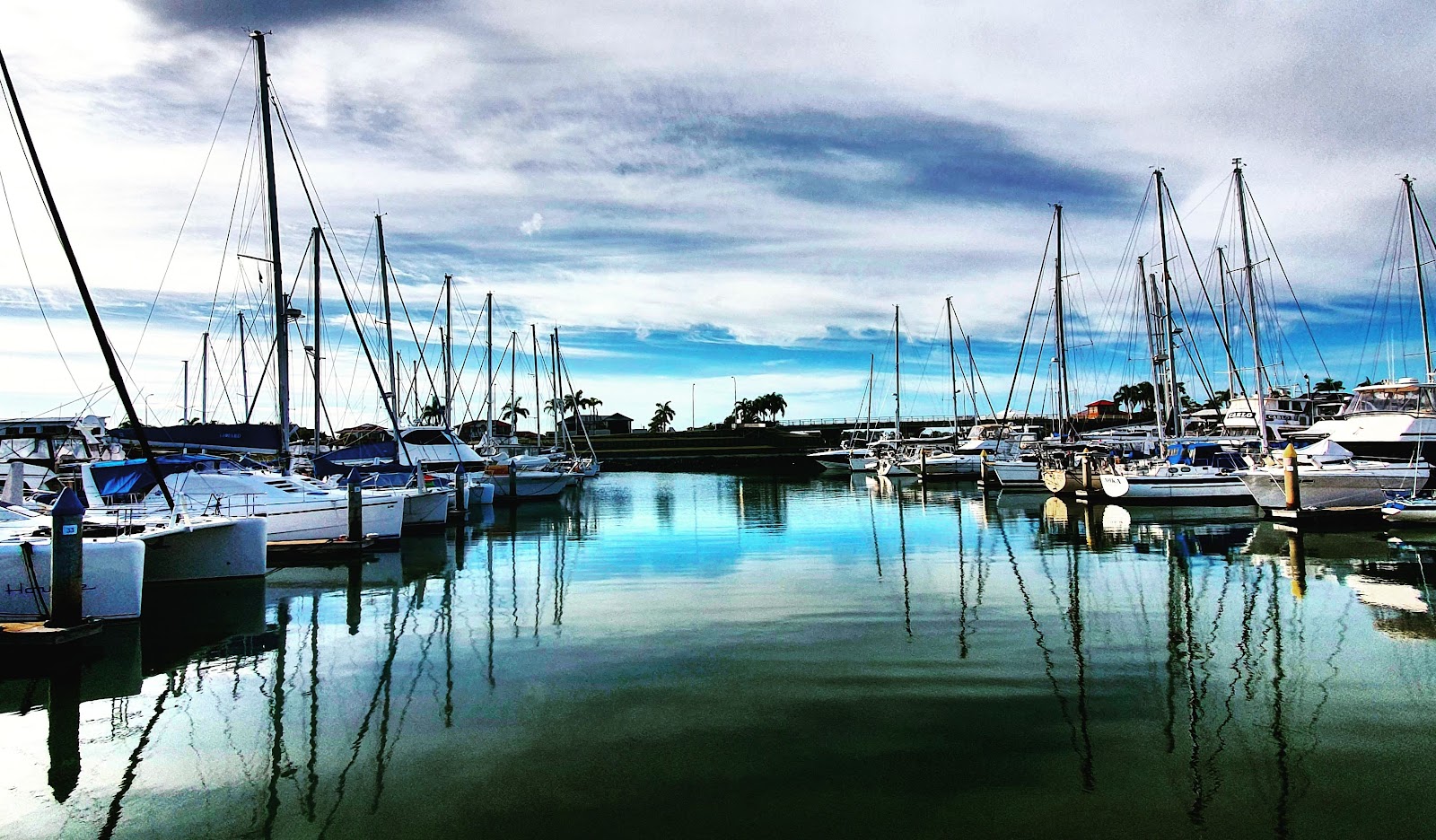 Newport Marina (2025) – Best of TikTok, Instagram & Reddit Travel Guide
