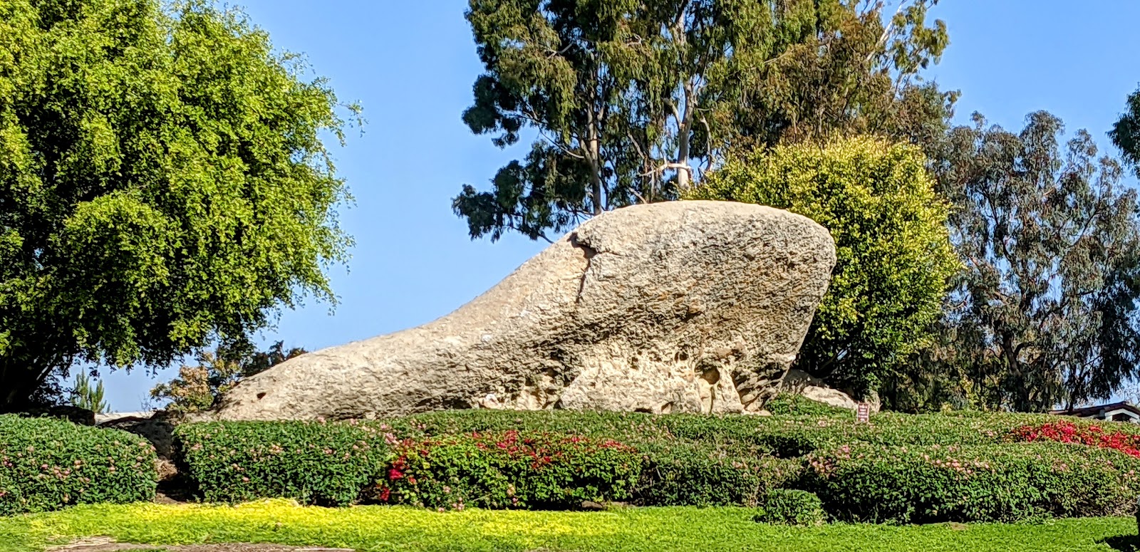Turtle Rock Irvine (2026) – Best of TikTok, Instagram & Reddit Travel Guide