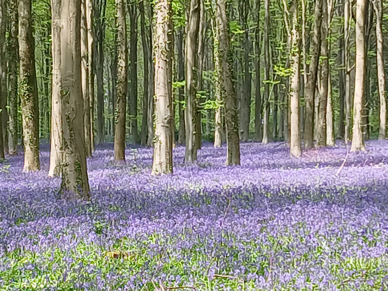 Angmering Park Estate (2025) – Best of TikTok, Instagram & Reddit ...