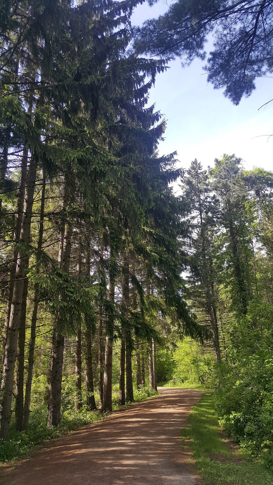 Lyons Woods Forest Preserve (2026) – Best of TikTok, Instagram & Reddit ...