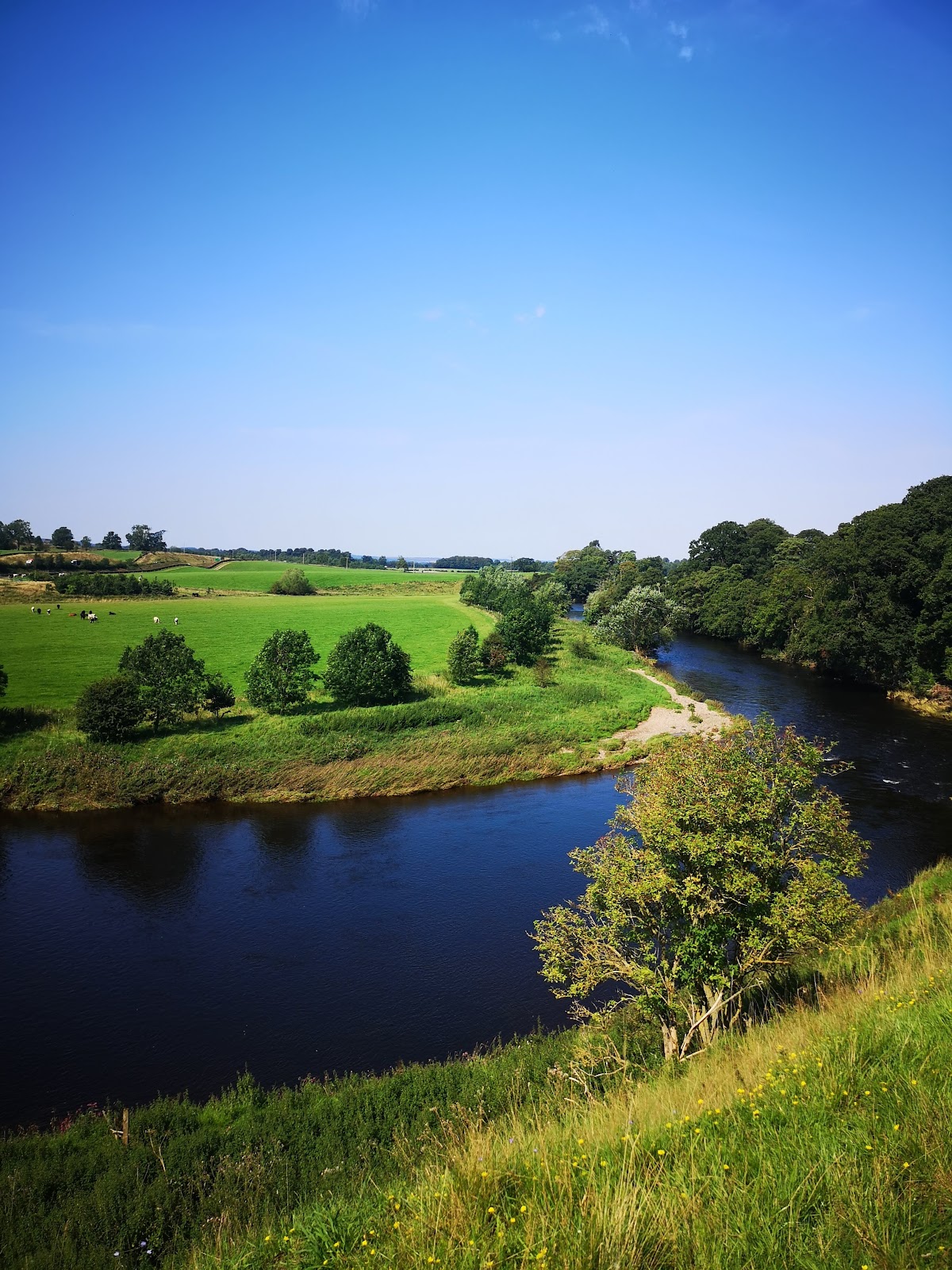 Appleby Bridge River Eden (2026) – Best of TikTok, Instagram & Reddit ...