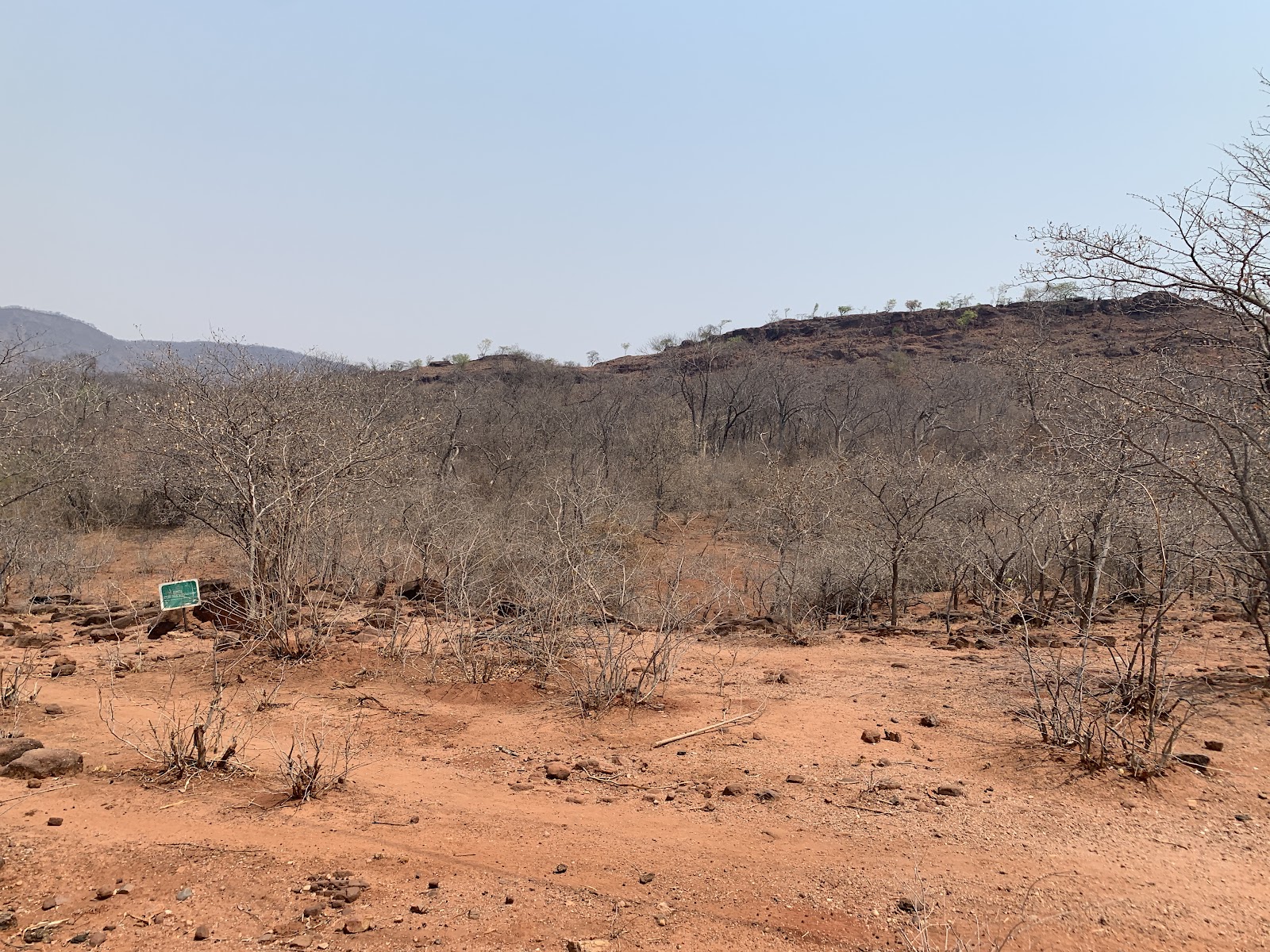 Chirundu Fossil Forest (2026) – Best of TikTok, Instagram & Reddit ...