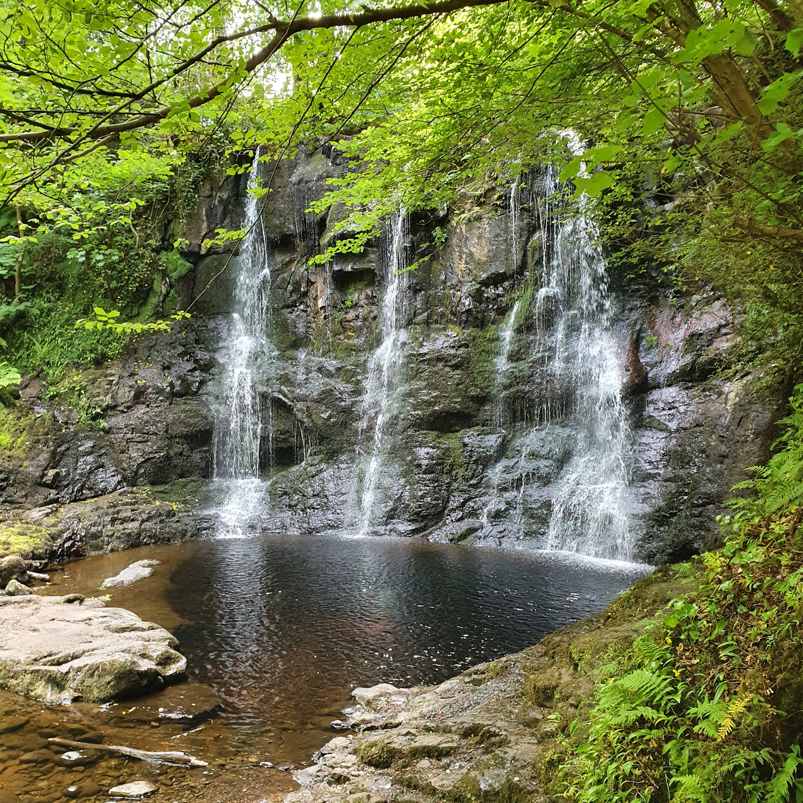 Glenariff Forest Park (2025) – Best of TikTok, Instagram & Reddit ...