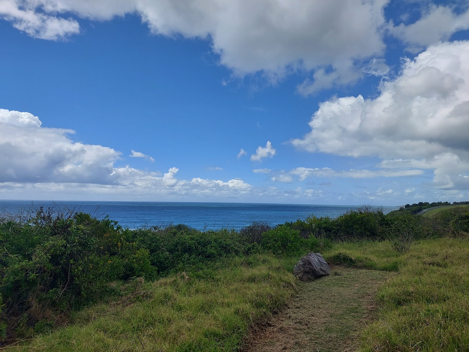 The Farm Beach Killalea (2026) – Best of TikTok, Instagram & Reddit ...