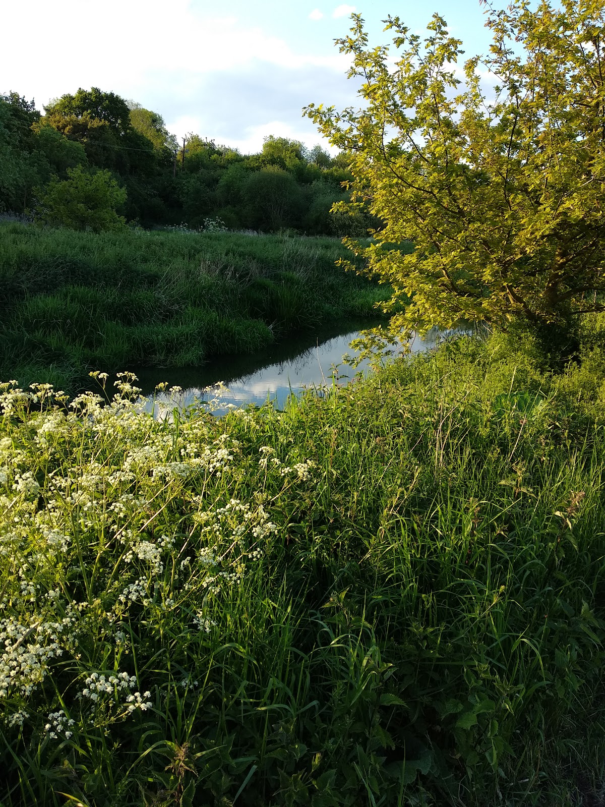 Davy Down Riverside Park (2025) – Best of TikTok, Instagram & Reddit ...