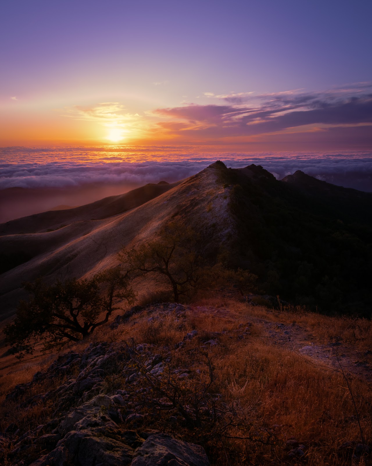 Fremont Peak State Park (2025) – Best of TikTok, Instagram & Reddit ...