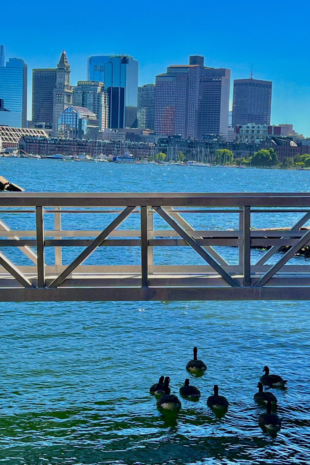 Boston Harborwalk (2026) – Best of TikTok, Instagram & Reddit Travel Guide