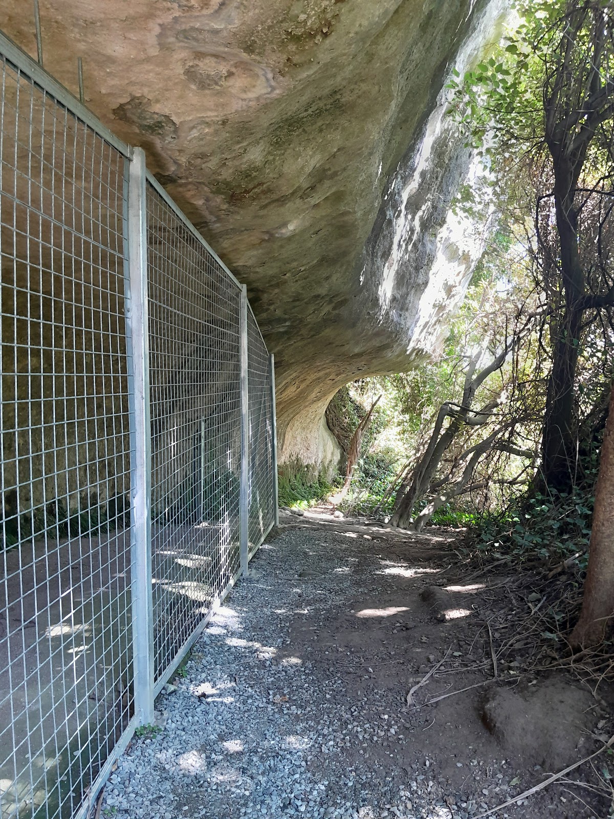 Raincliff Conservation Park (2026) – Best of TikTok, Instagram & Reddit ...