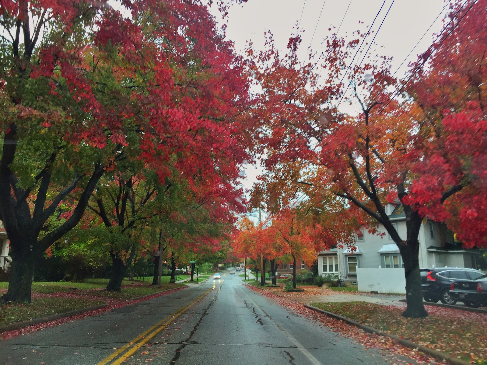 Highland Square (2026) – Best of TikTok, Instagram & Reddit Travel Guide