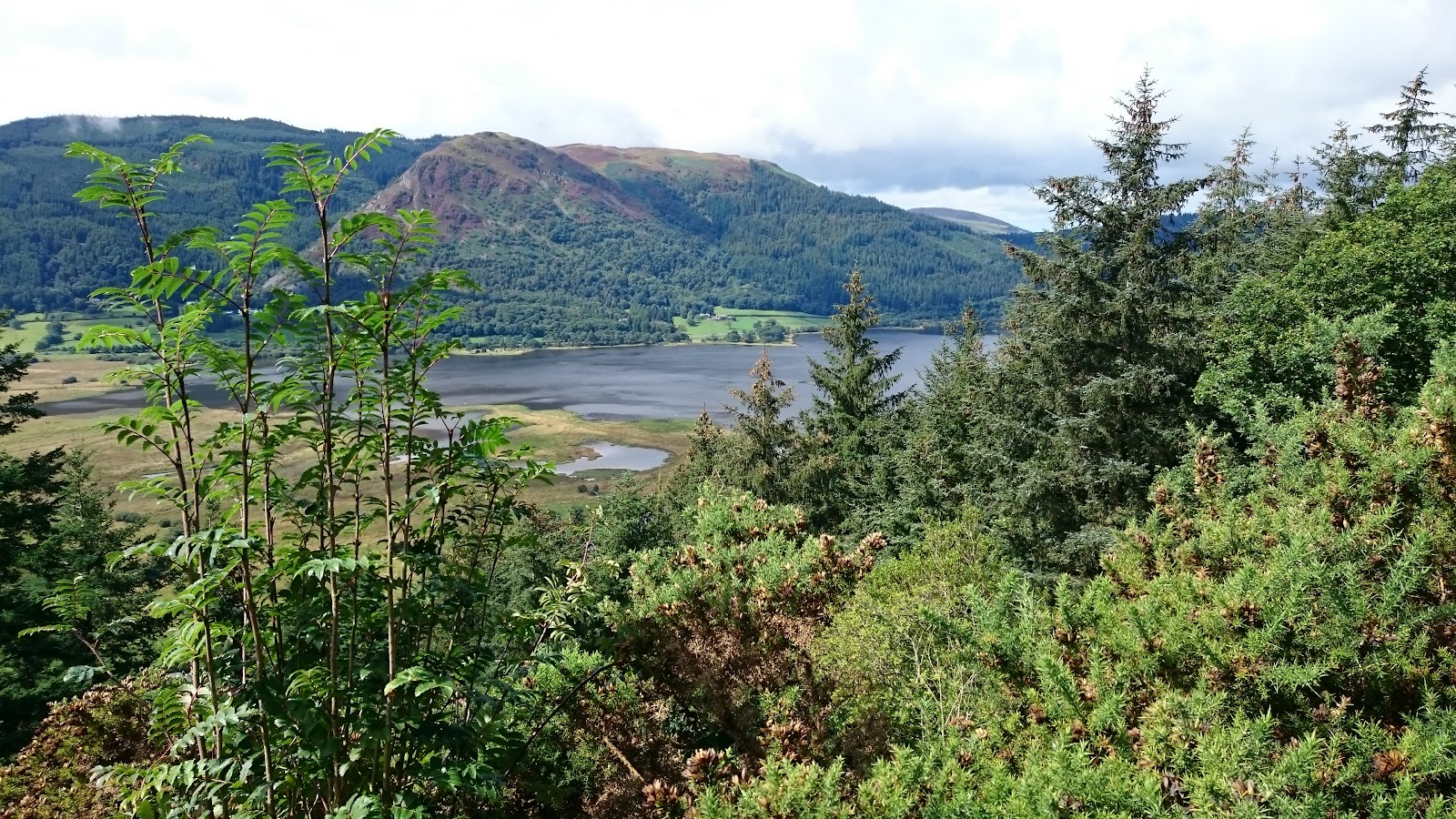 Osprey Viewpoint Dodd Wood (2026) – Best of TikTok, Instagram & Reddit ...