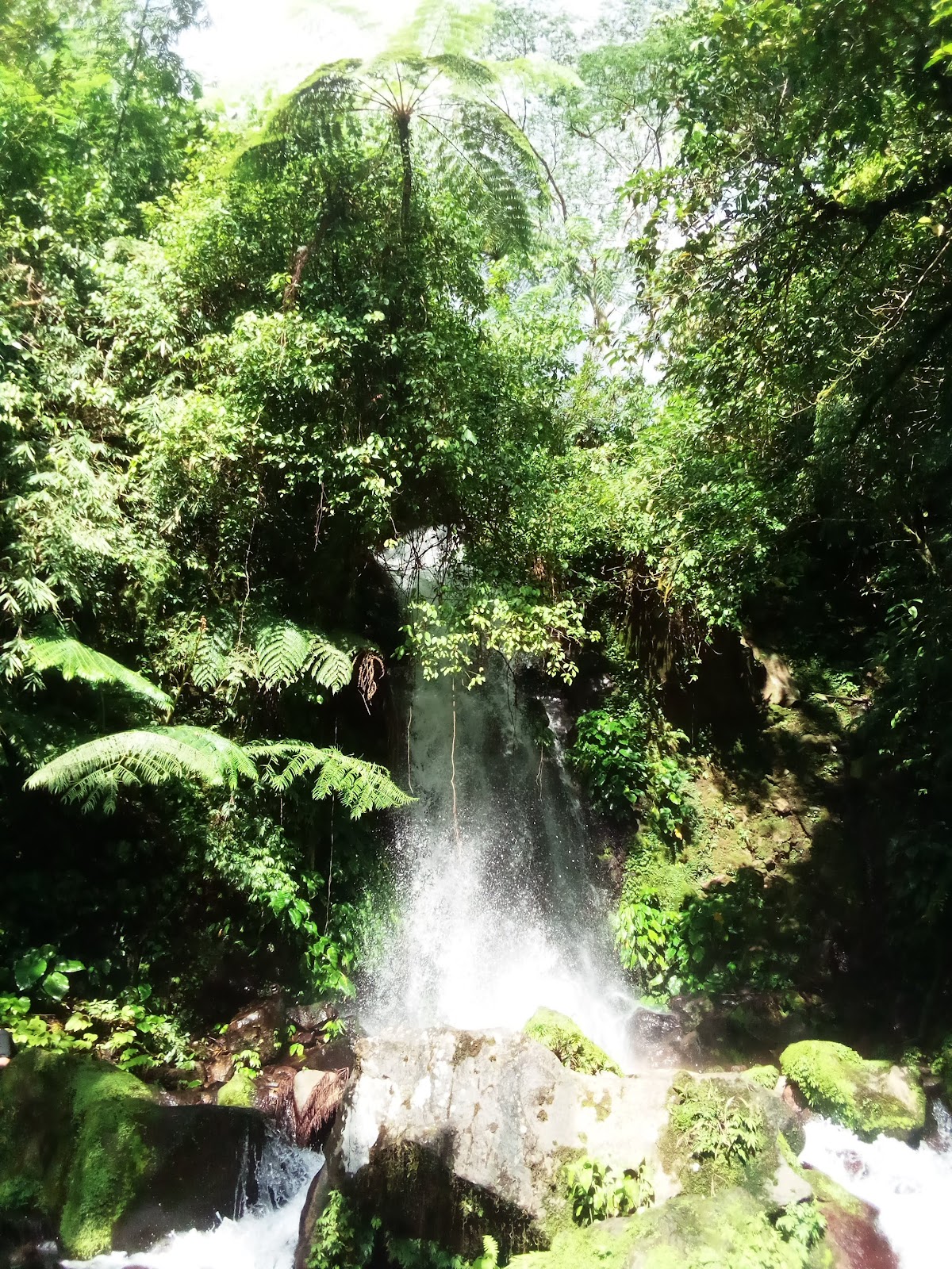 Guintubdan Nature Trails and Falls (2026) – Best of TikTok, Instagram ...