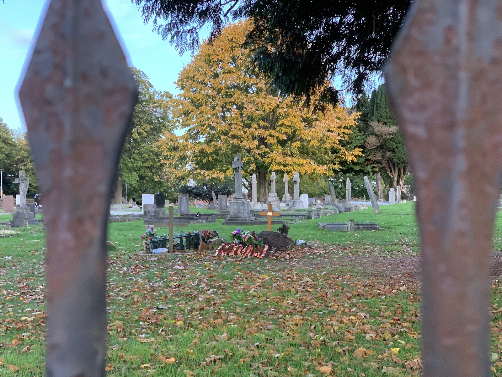 Chatham Cemetery (2026) – Best of TikTok, Instagram & Reddit Travel Guide
