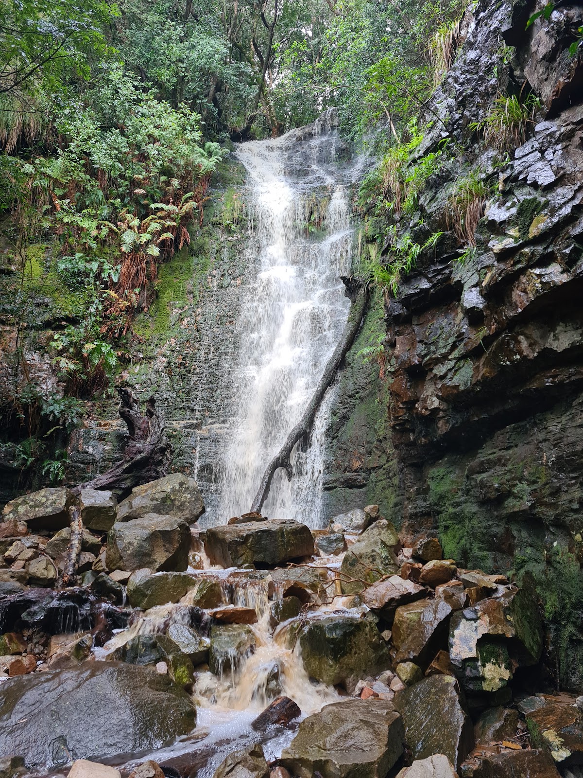 Myburgh's Waterfall Ravine (2026) – Best of TikTok, Instagram & Reddit ...