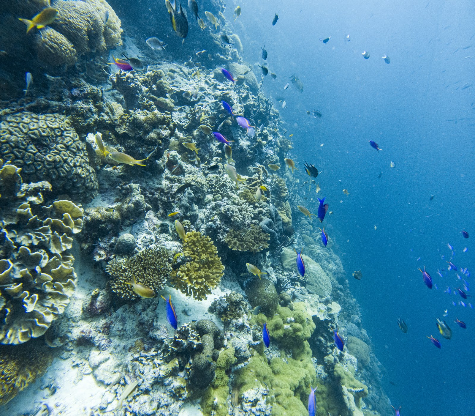 Talima Marine Sanctuary (2025) – Best of TikTok, Instagram & Reddit ...