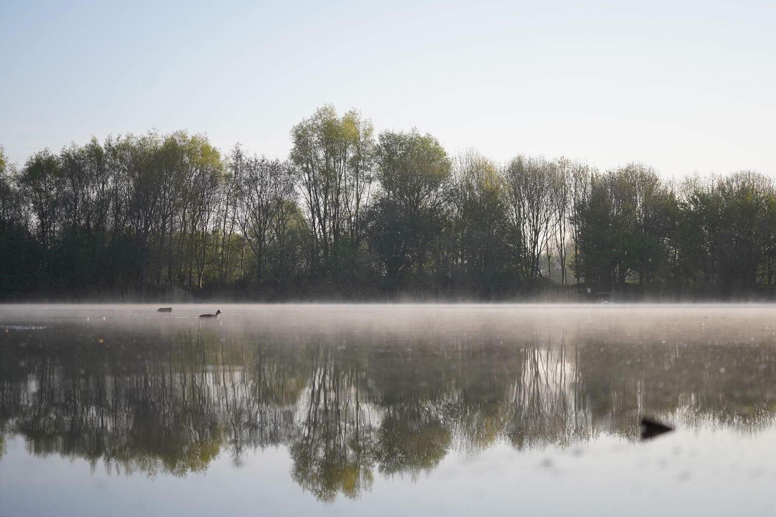 Dishley Pool and Nature Reserve (2026) – Best of TikTok, Instagram ...