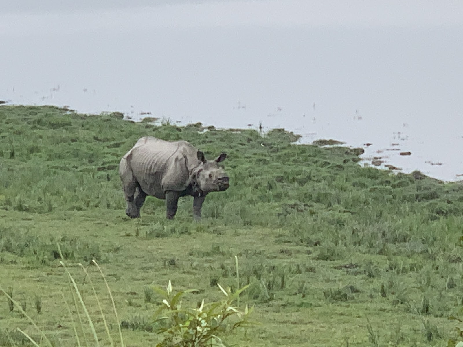 Donga Bird Watching Point Kaziranga (2026) – Best of TikTok, Instagram ...