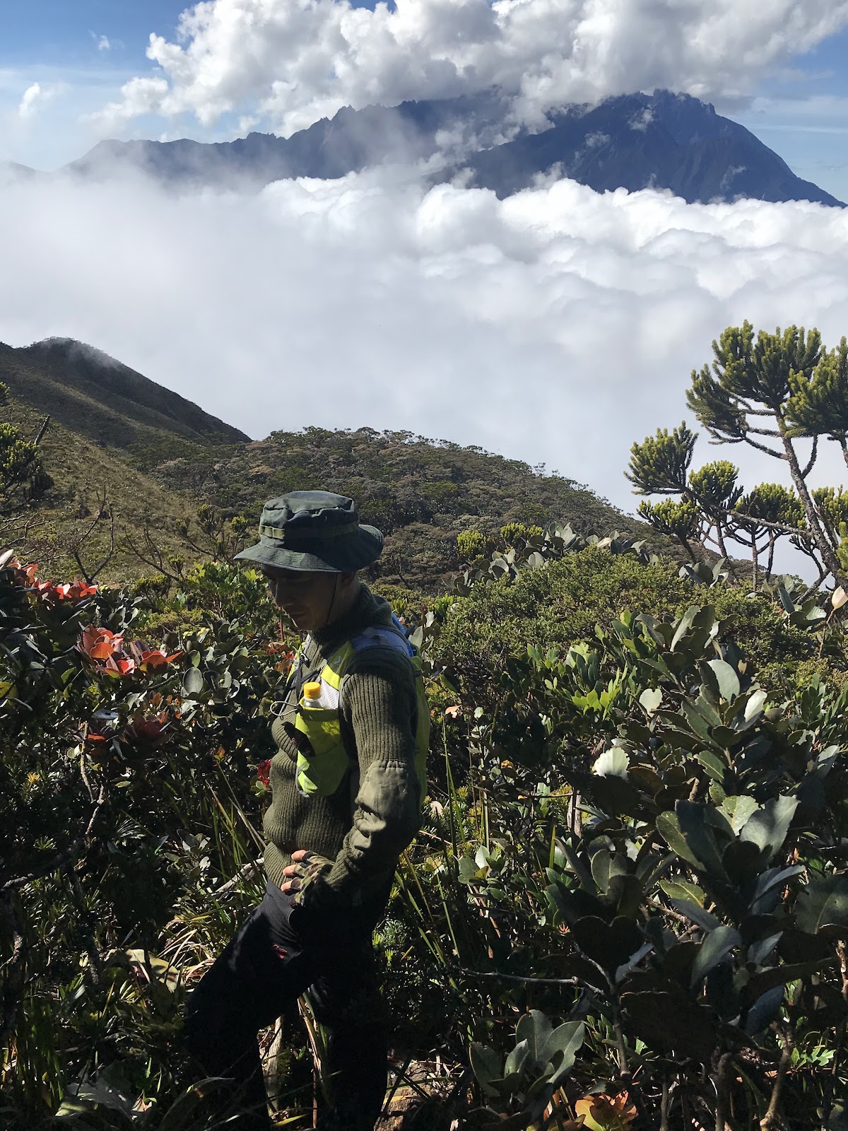 Mount Tambuyukon Sabah (2026) – Best of TikTok, Instagram & Reddit ...