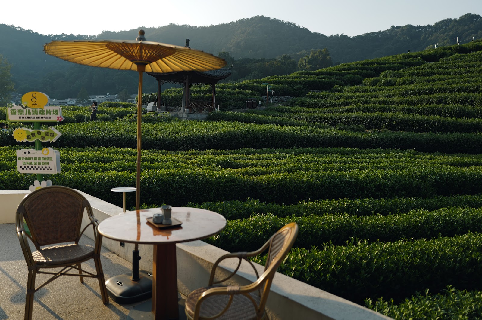 Longwu Tea Village (2026) – Best of TikTok, Instagram & Reddit Travel Guide