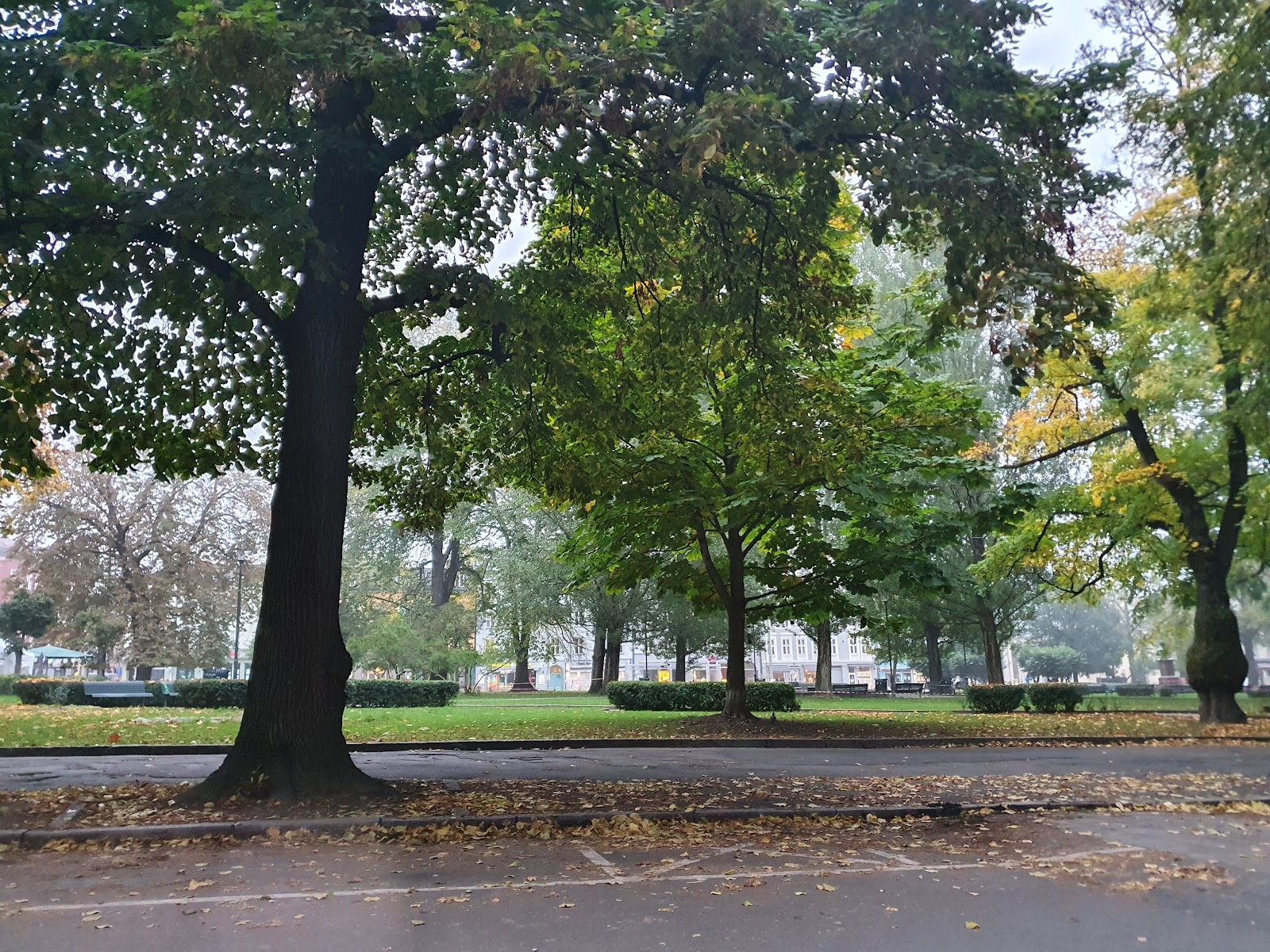 Olaf Ryes plass Oslo (2026) – Best of TikTok, Instagram & Reddit Travel ...