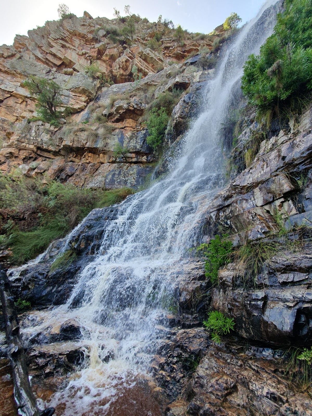 Paradyskloof Nature Area (2026) – Best of TikTok, Instagram & Reddit ...