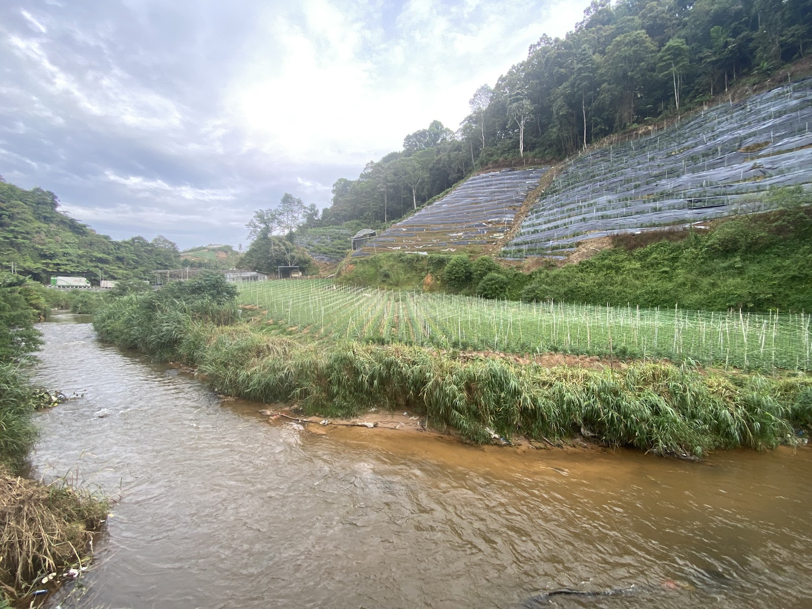 Kuala Terla Cameron Highlands (2026) – Best of TikTok, Instagram ...