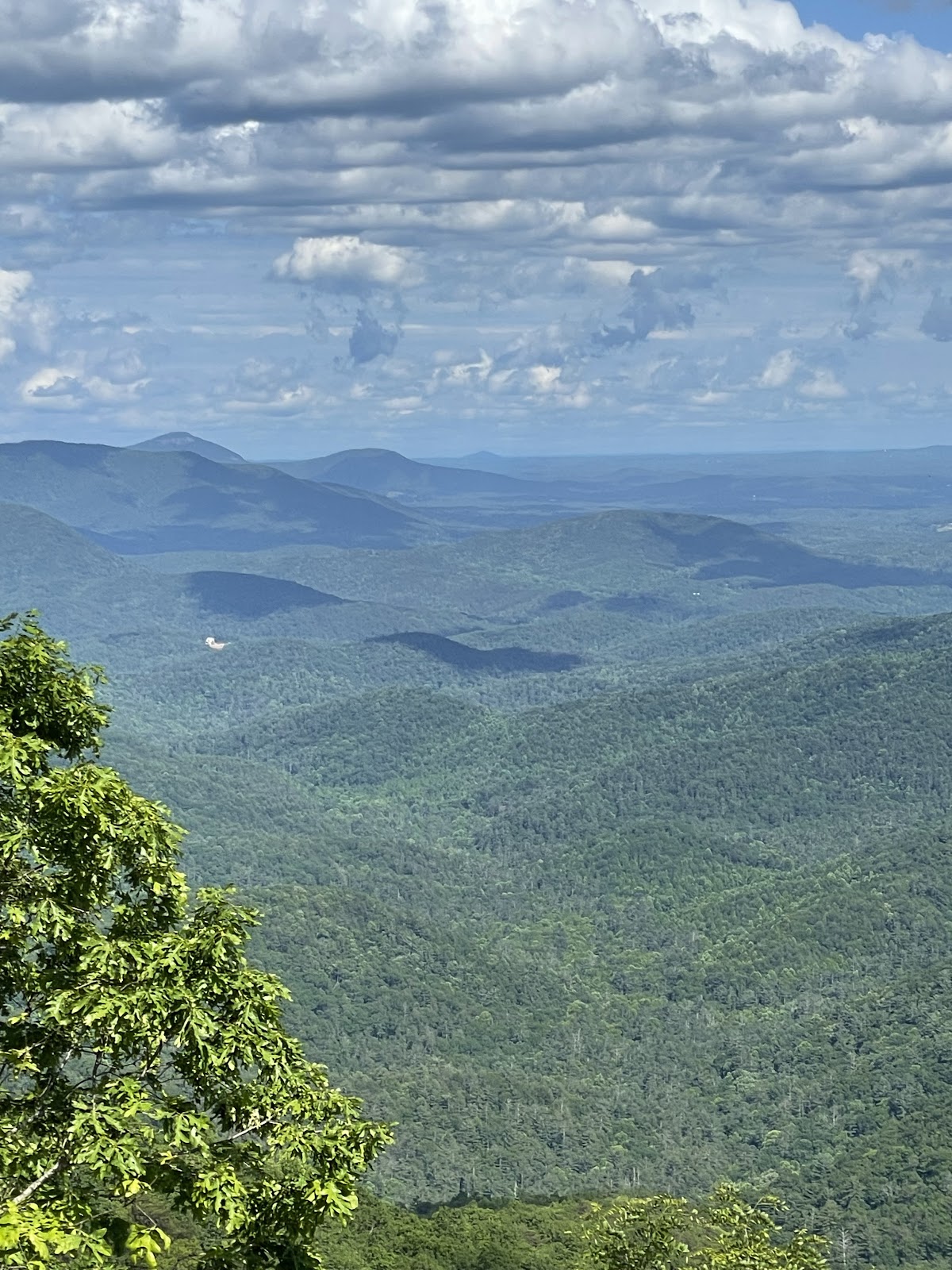 Woody Gap Overlook (2026) – Best of TikTok, Instagram & Reddit Travel Guide