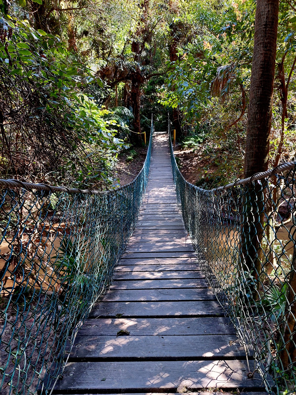 Strickland State Forest (2026) – Best of TikTok, Instagram & Reddit ...