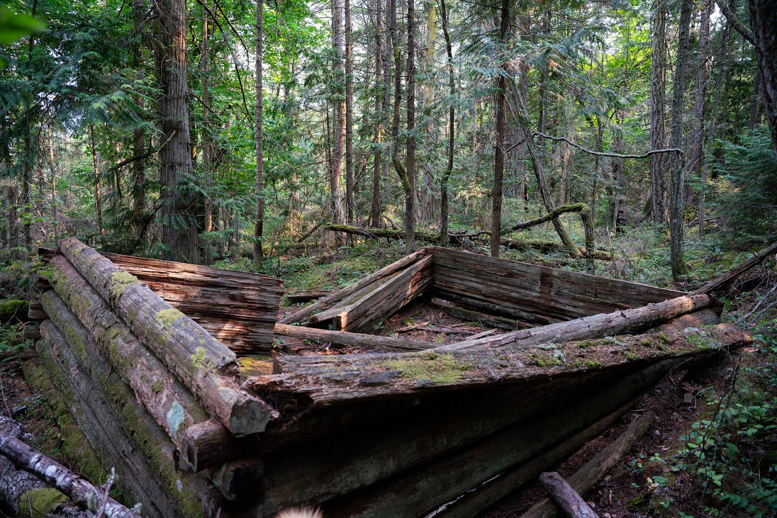 John Tursi Trail (2026) – Best of TikTok, Instagram & Reddit Travel Guide