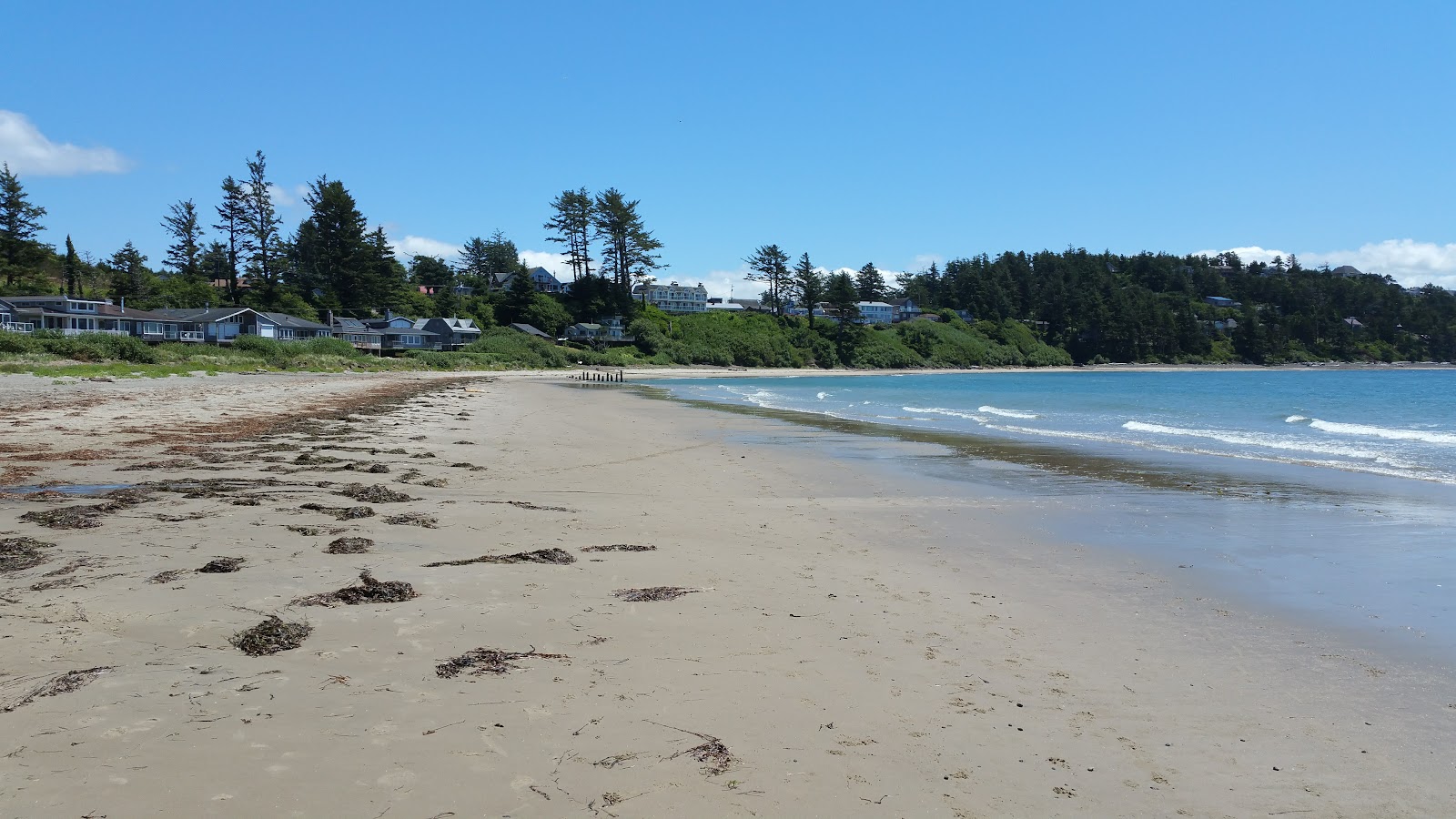 Netarts Bay (2025) – Best of TikTok, Instagram & Reddit Travel Guide