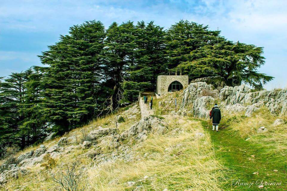 Jaj Cedar Reserve (2026) – Best of TikTok, Instagram & Reddit Travel Guide