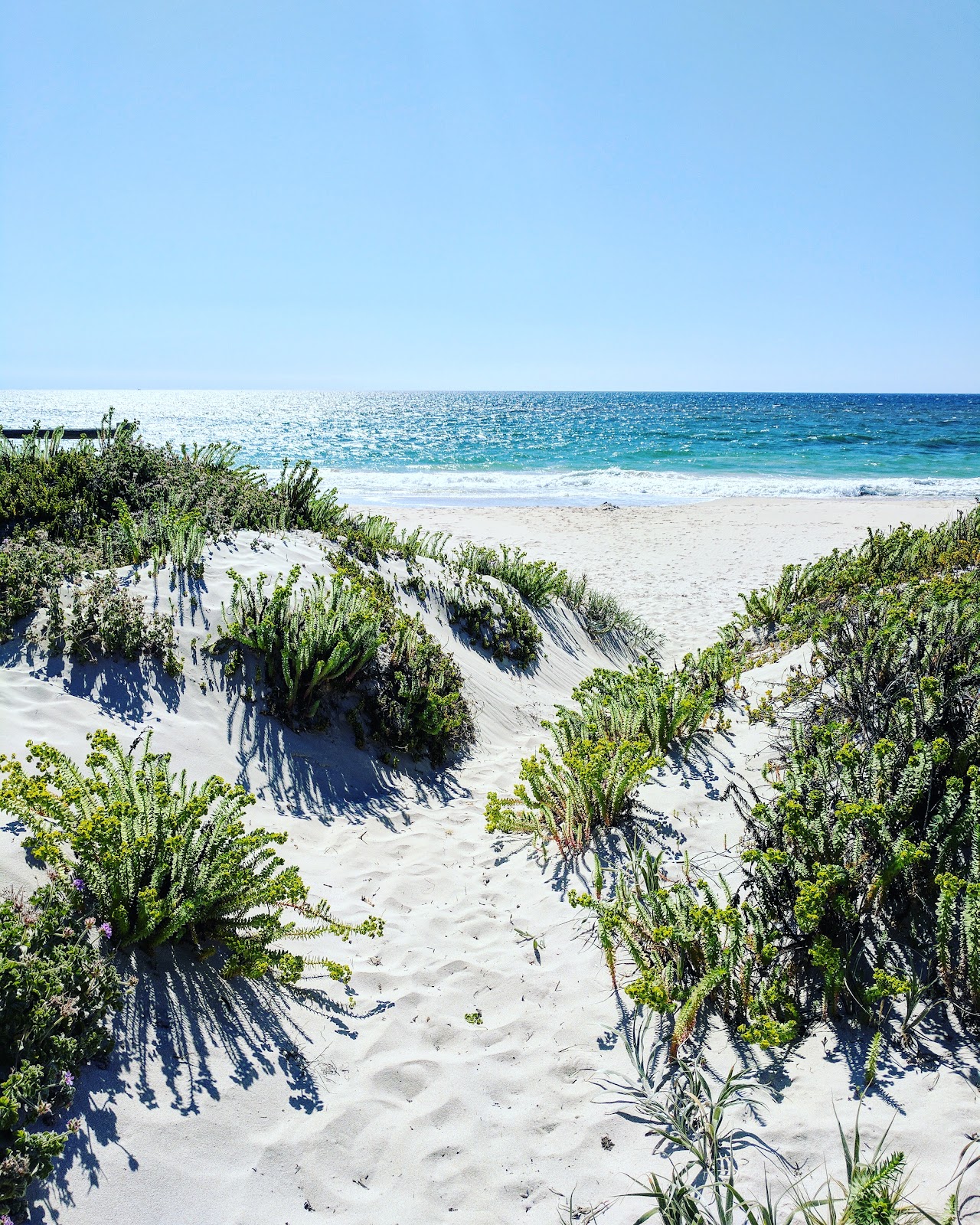 Peppermint Grove Beach (2025) – Best of TikTok, Instagram & Reddit ...