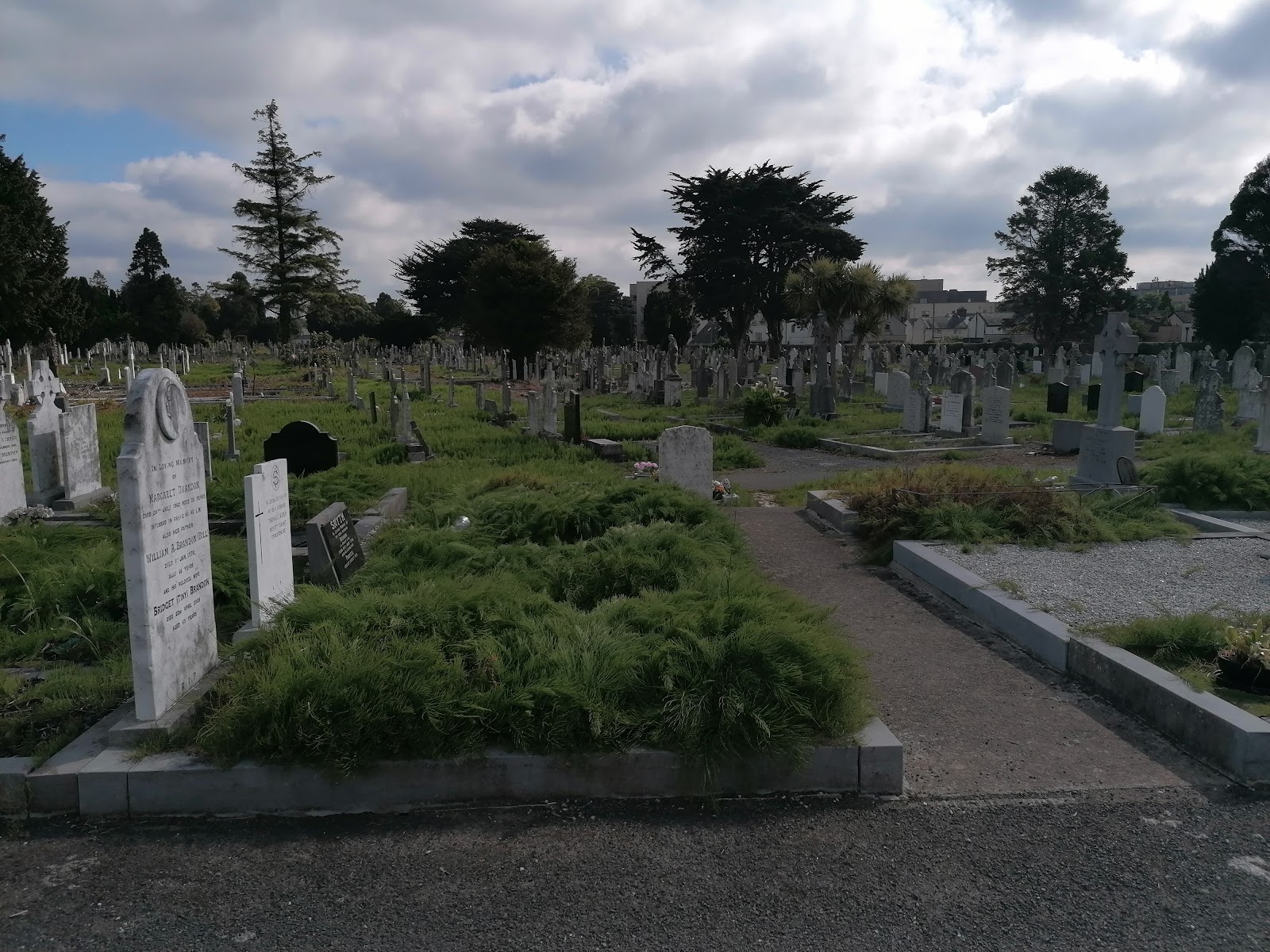 Deansgrange Cemetery (2026) – Best of TikTok, Instagram & Reddit Travel ...