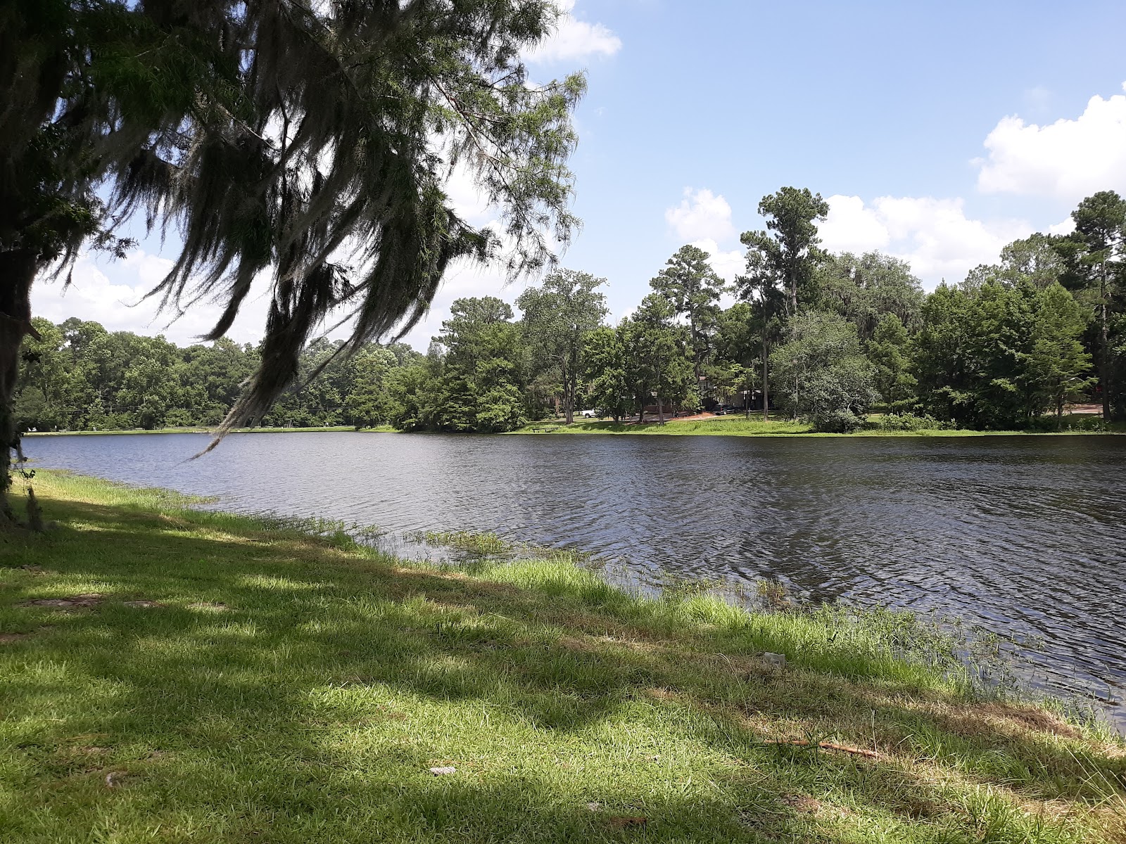 Lake Irma Park (2025) – Best of TikTok, Instagram & Reddit Travel Guide