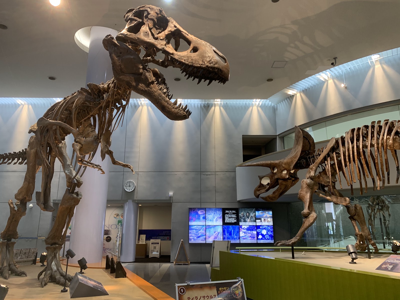 Toyohashi Museum of Natural History (2025) – Best of TikTok, Instagram ...