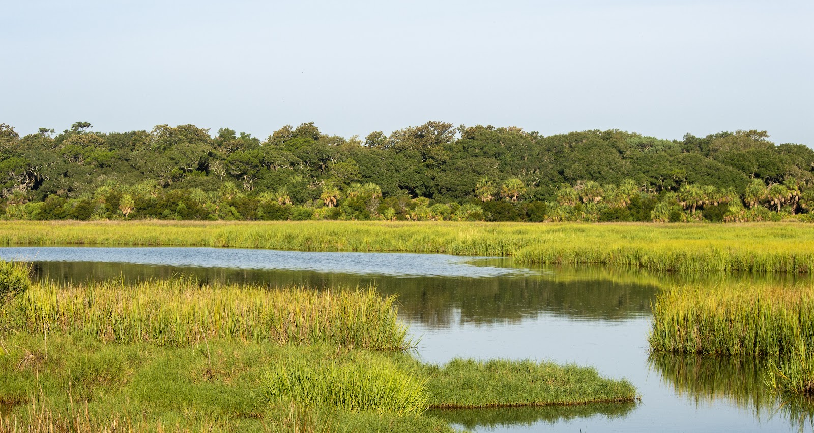 Little St. Simons Island (2026) – Best of TikTok, Instagram & Reddit ...