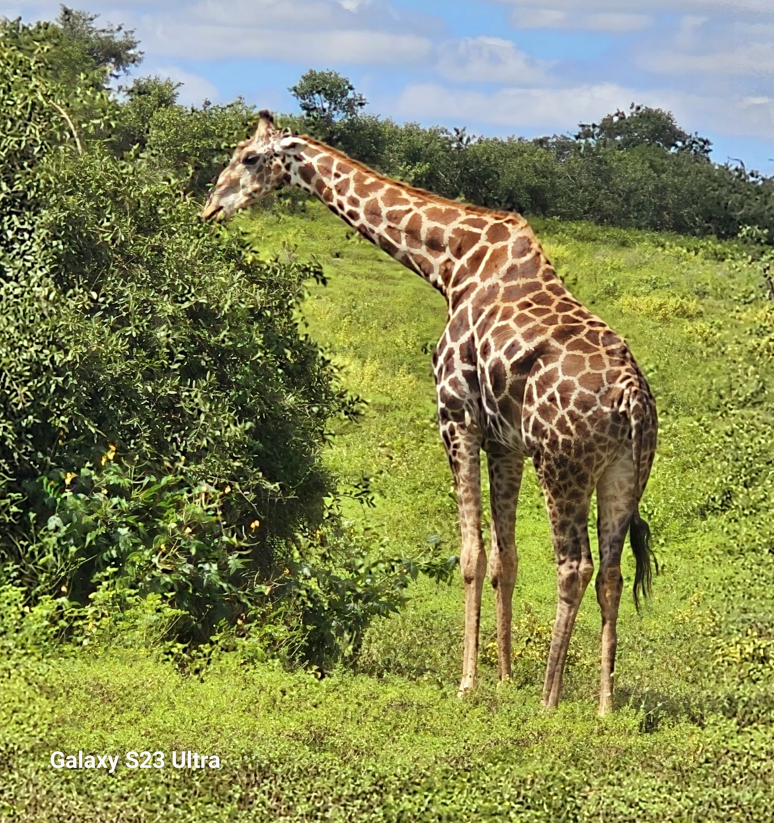 Kasane Forest Reserve Kasane (2026) – Best of TikTok, Instagram ...