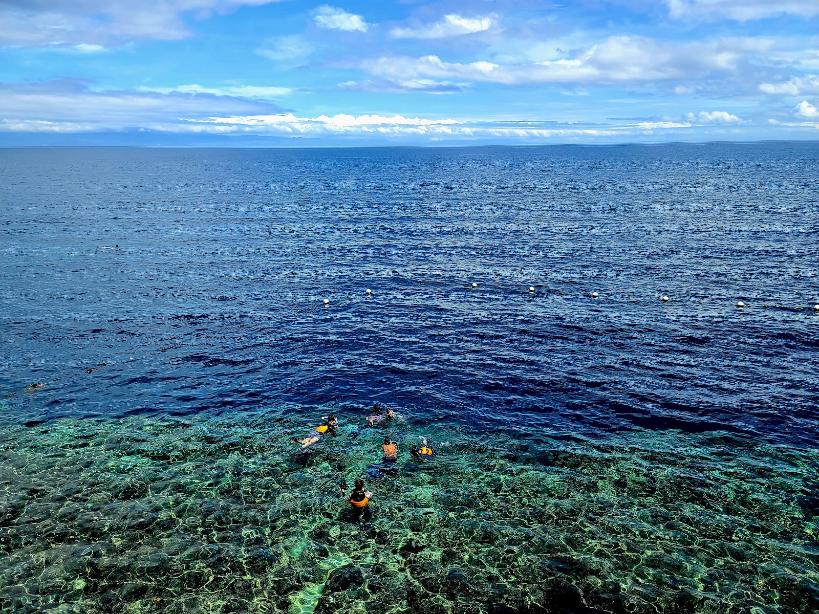 Napaling Reef Sardine Run (2025) – Best of TikTok, Instagram & Reddit ...