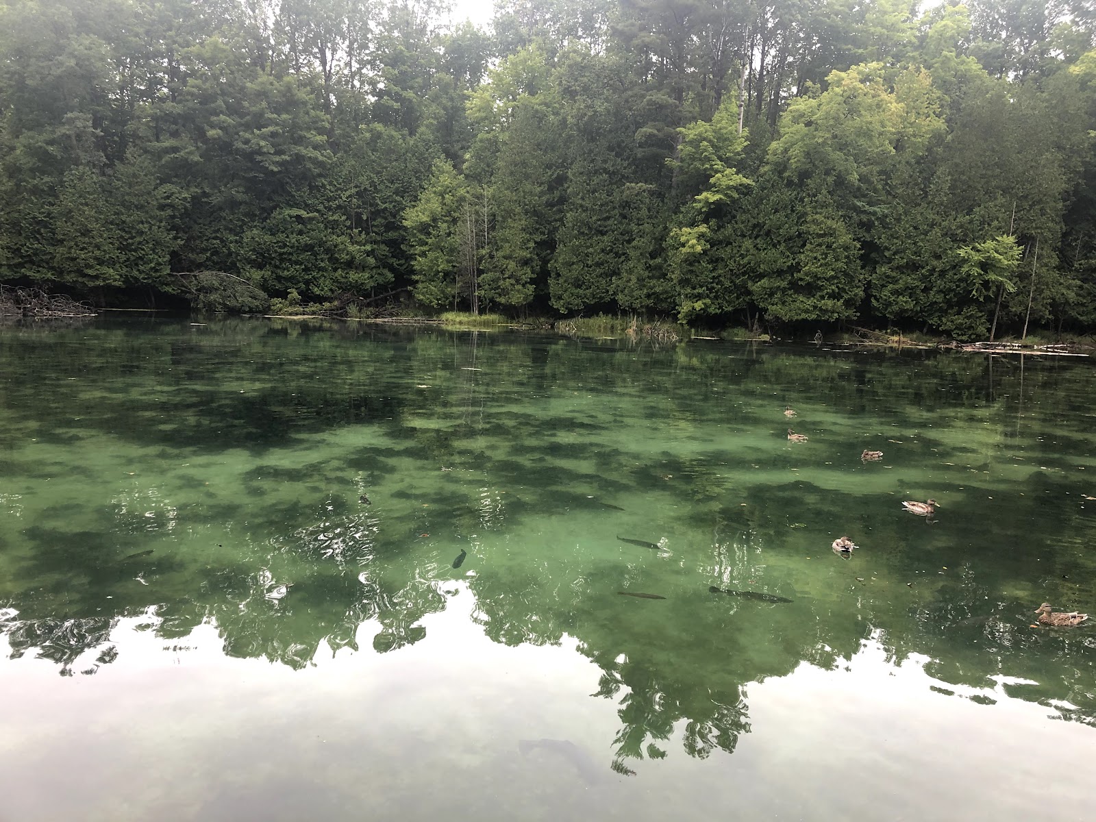 Oden State Fish Hatchery Visitor Center (2026) – Best of TikTok ...