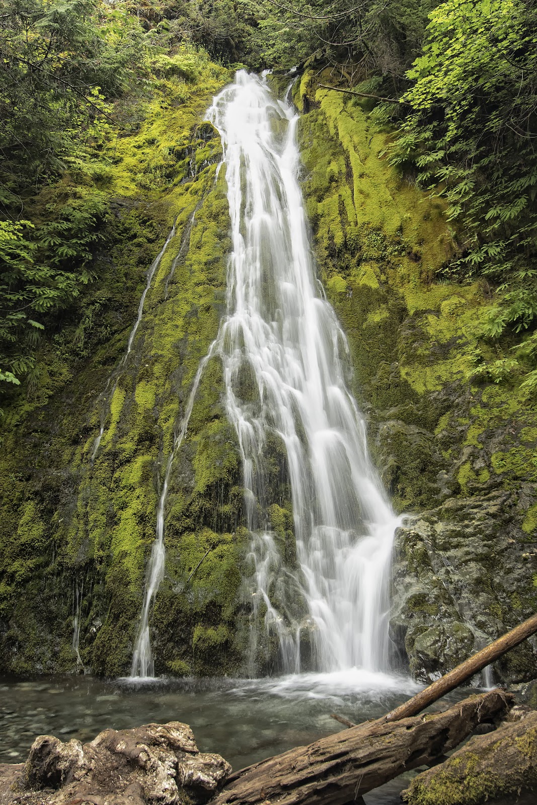 Madison Falls Olympic National Park (2025) – Best of TikTok, Instagram ...