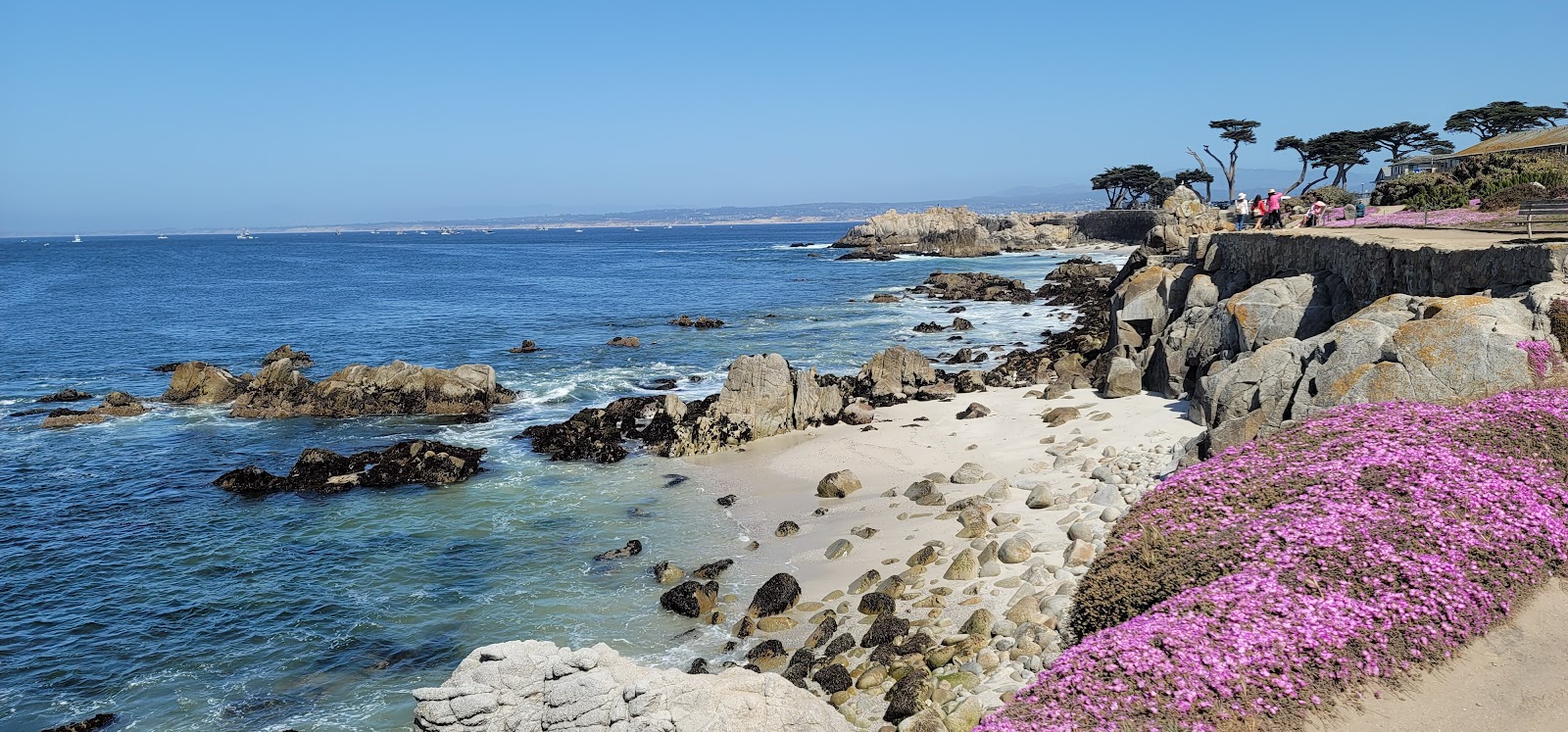Pacific Grove California (2026) – Best of TikTok, Instagram & Reddit ...