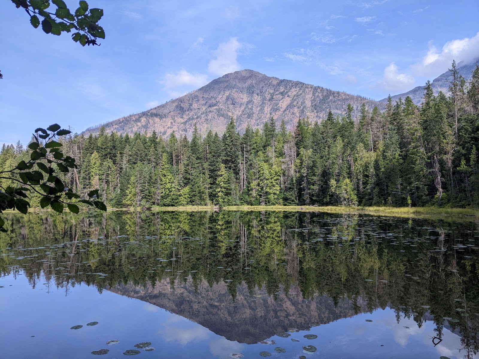 Johns Lake Loop Trail (2026) – Best of TikTok, Instagram & Reddit ...