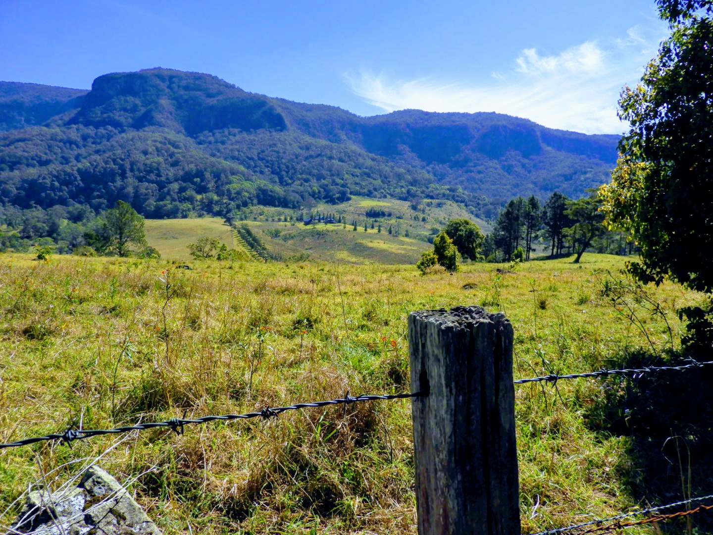 Numinbah Valley (2026) – Best of TikTok, Instagram & Reddit Travel Guide