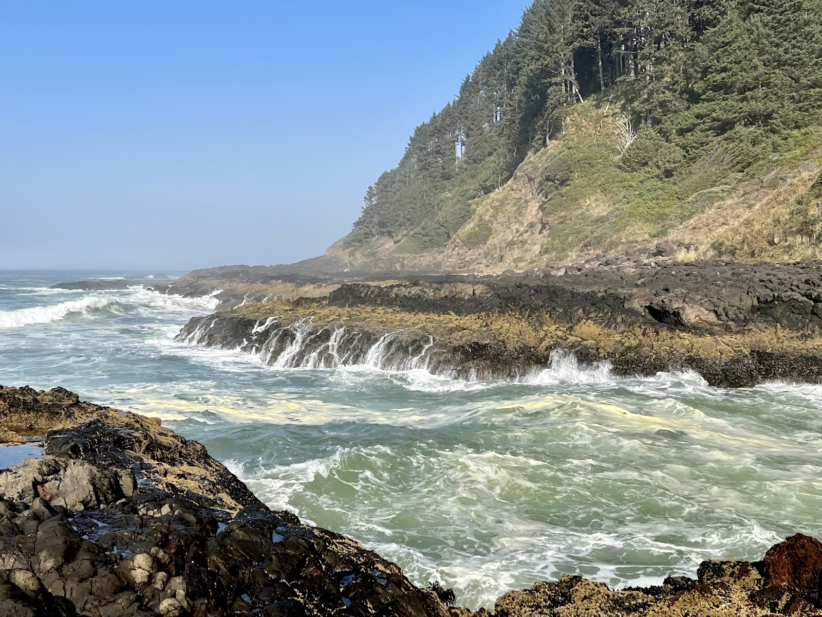Cape Cove Beach (2026) – Best of TikTok, Instagram & Reddit Travel Guide