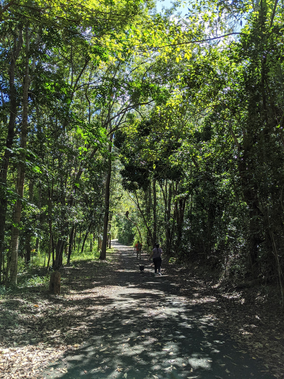 Susúa State Forest Puerto Rico (2026) – Best of TikTok, Instagram ...