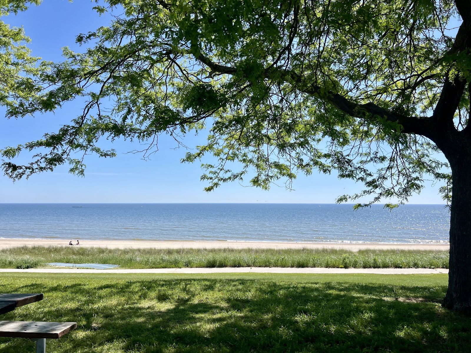 Red Arrow Beach (2026) – Best of TikTok, Instagram & Reddit Travel Guide