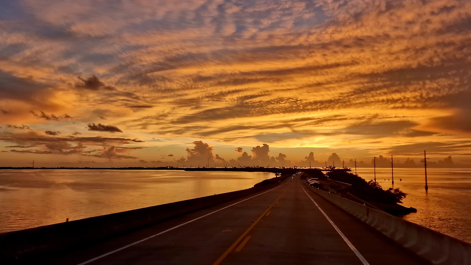 Spanish Harbor Bridge (2026) – Best of TikTok, Instagram & Reddit ...