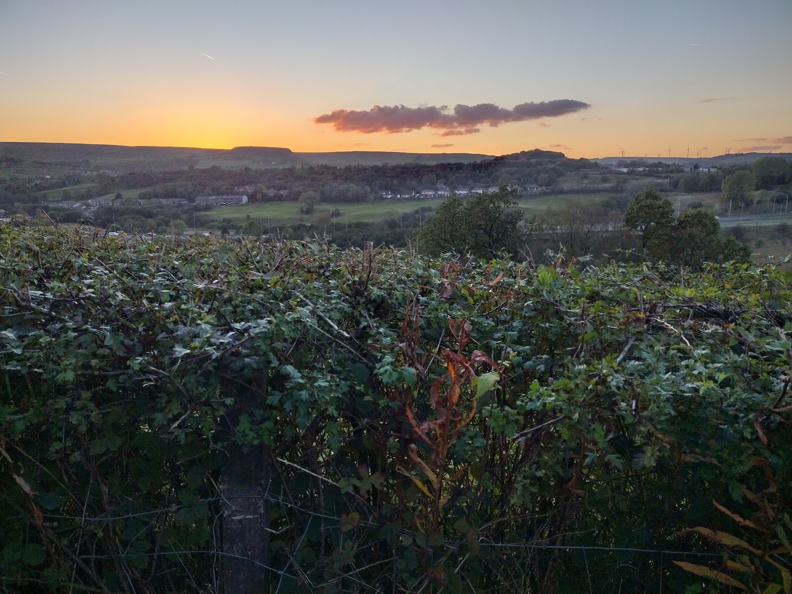 Edenfield (2025) – Best of TikTok, Instagram & Reddit Travel Guide